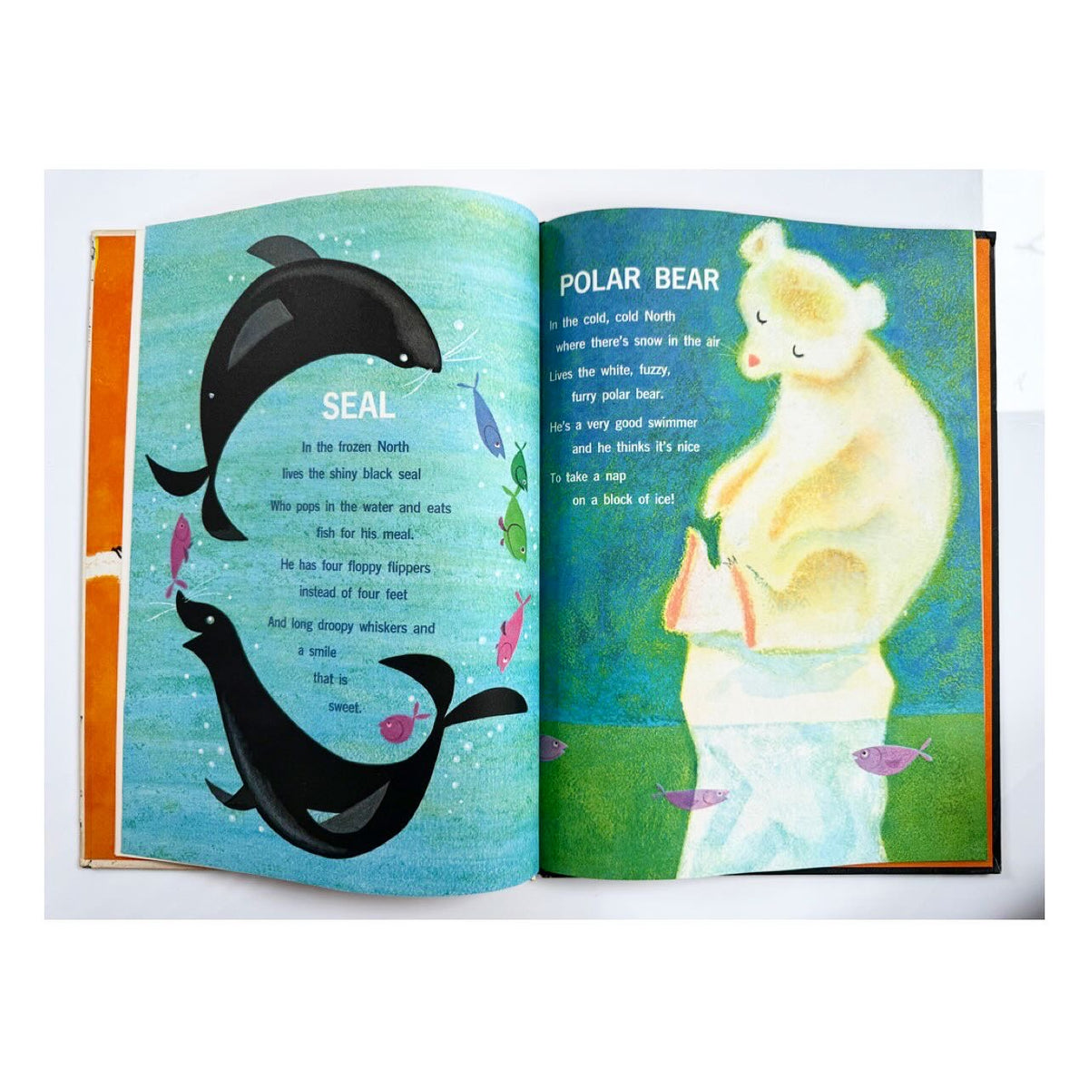The Wild and Woolly Animal Book, First Edition, 1961 – Colourful Fable